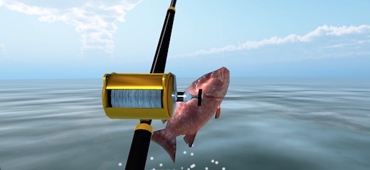 RADICAL FISHING